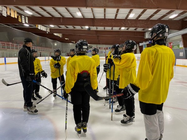 Programs – Ice Fit Winnipeg